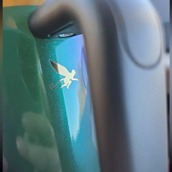 Stanley | Other | Stanley Wicked Elphaba 4oz Target | Poshmark